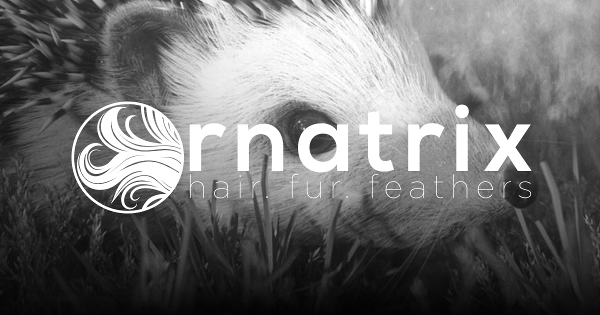 Ornatrix|株式会社オーク